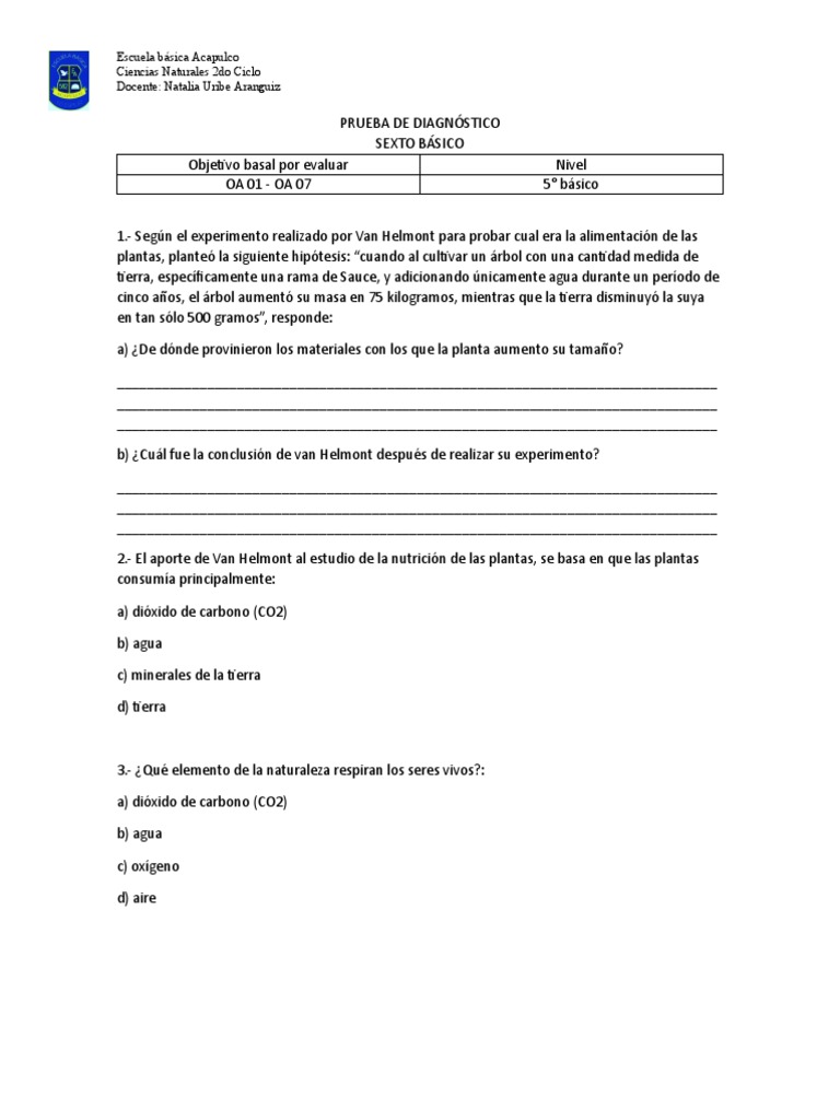 Prueba de Diagnóstico 6to Básico | PDF