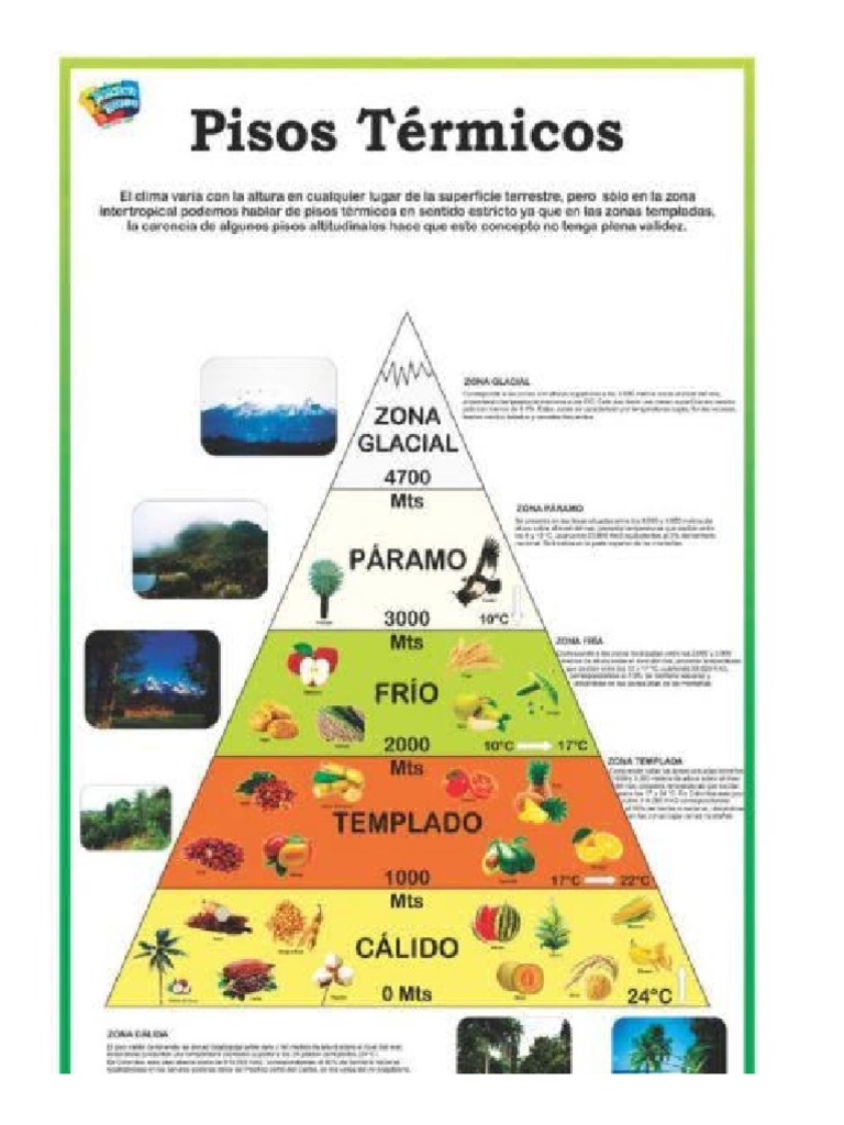 Pisos Termicos | PDF