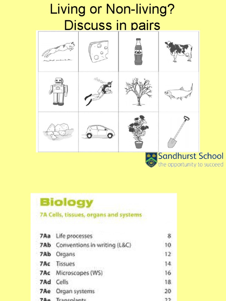 7Aa-Life-Processes - PPT 2 | PDF | Self-Improvement
