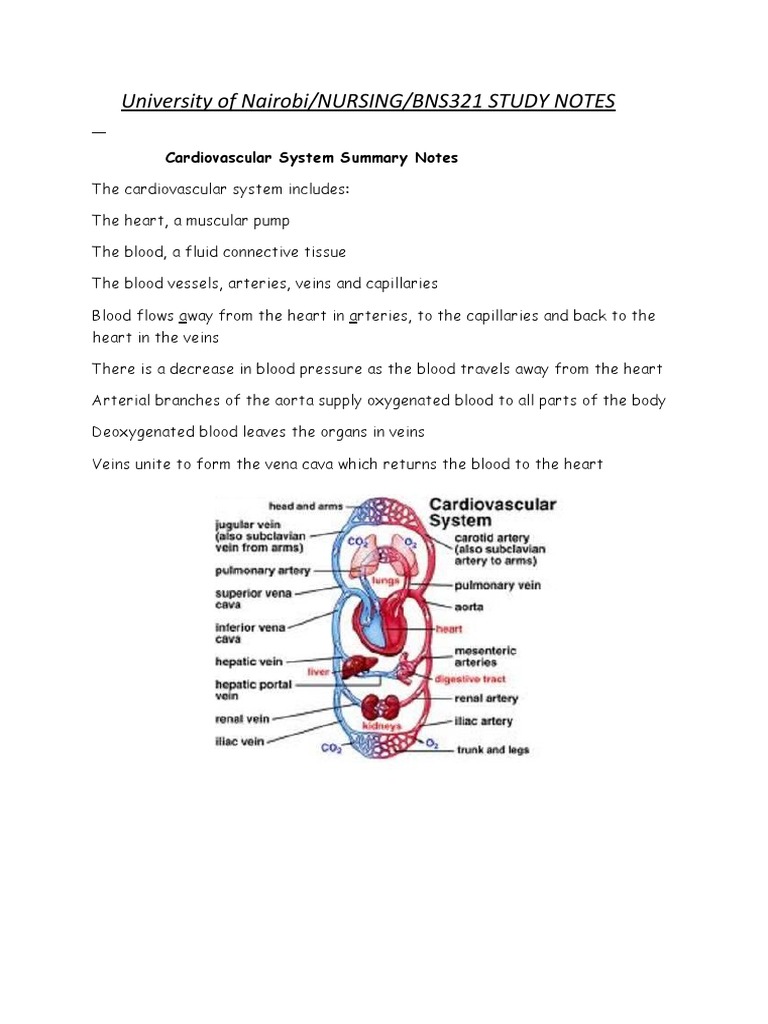 Cardiovascular-System NURSING BNS321 STUDY DIAGRAM AND NOTES | PDF ...