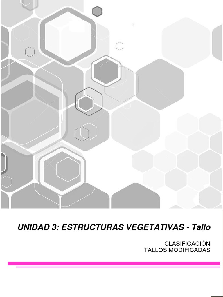 Estructuras Vegetativas: Talos Modificados | PDF | Tallo de la planta ...