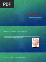 CONSIST MAX Ficha Tecnica | PDF | Cultivos | Plantas