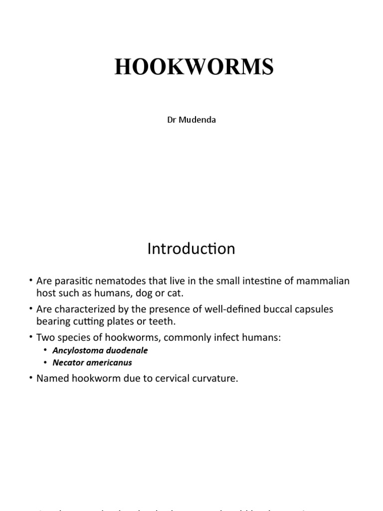 HOOKWORMS | PDF | Anemia | Diseases And Disorders
