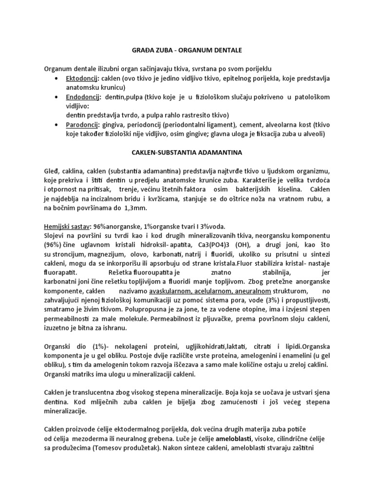 Građa Zuba - Organum Dentale | PDF