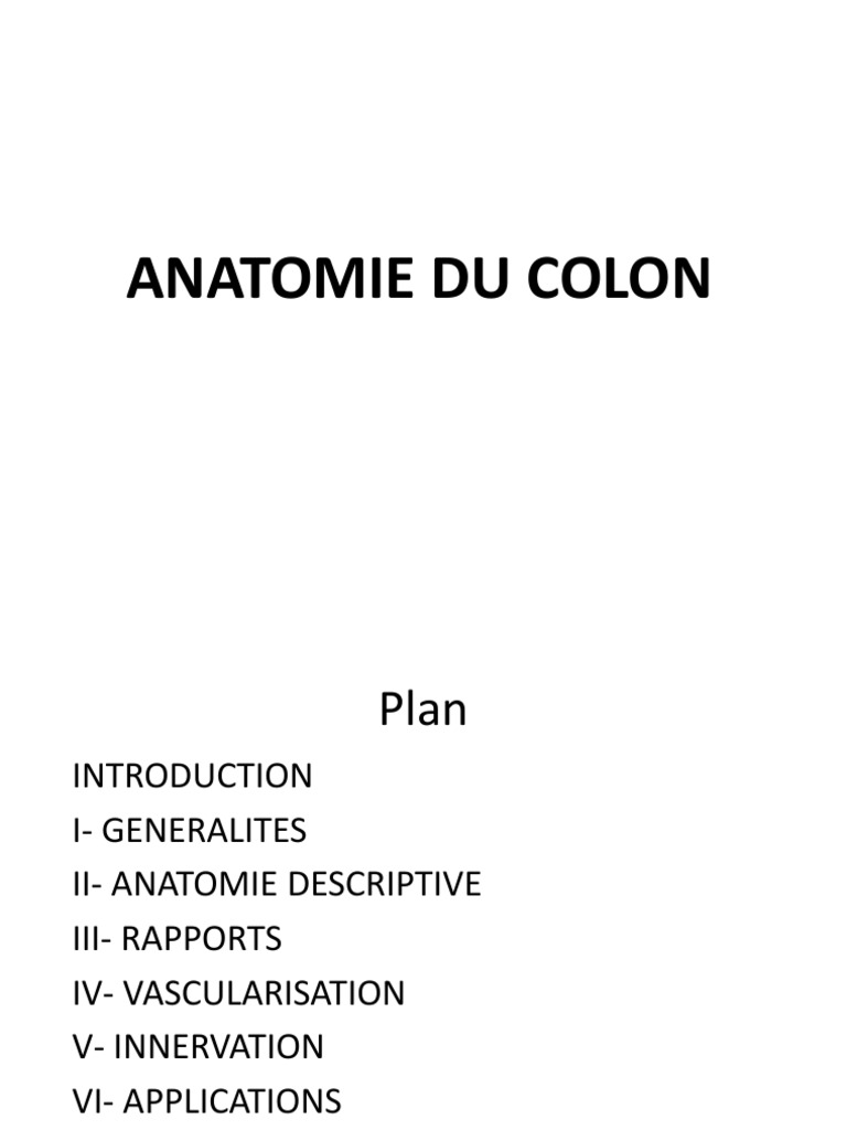 Colon Anatomie | PDF | Gros intestin | Péritoine