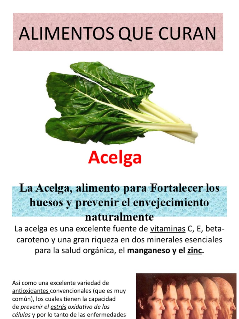 Alimentos Que Curan 12 | PDF | Antioxidante | Hueso