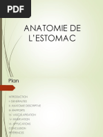 Anatomie des anses grêles et mésentère | PDF | Péritoine | Spécialités ...