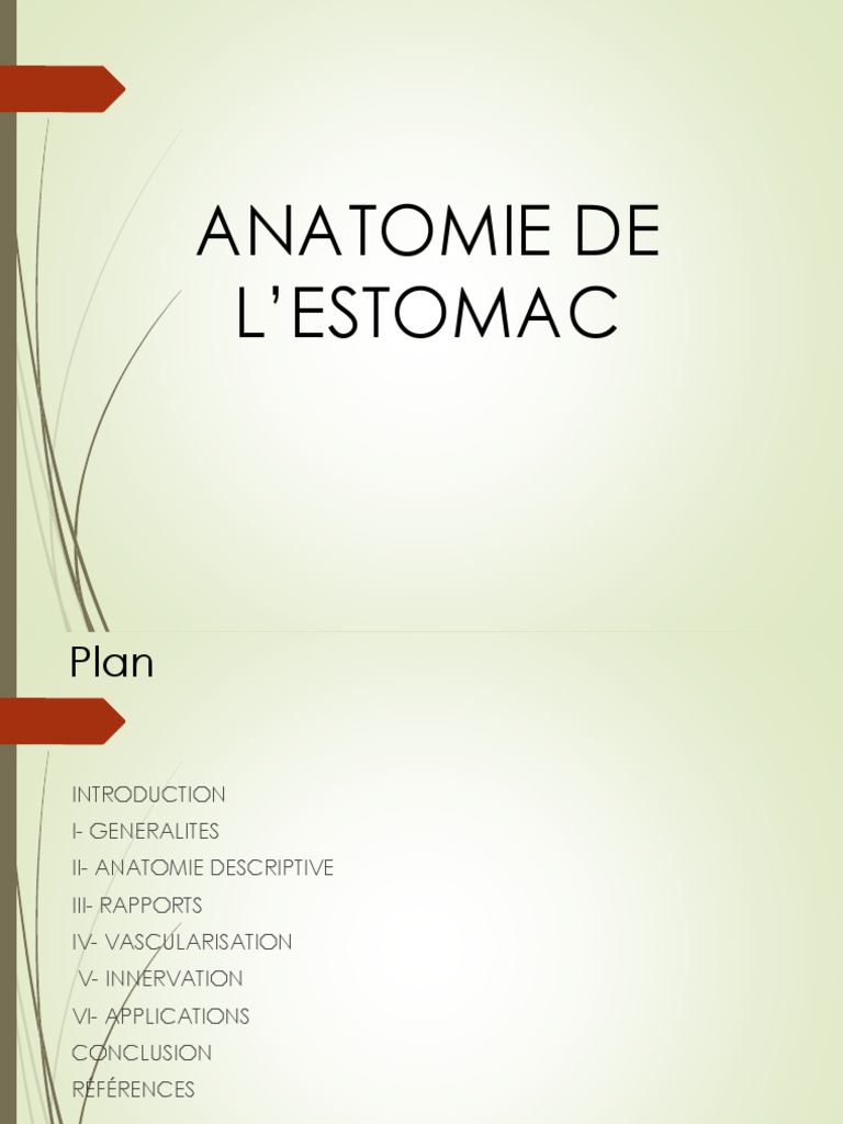Anatomie et Fonctionnement de l'Estomac | PDF | Sciences et mathématiques