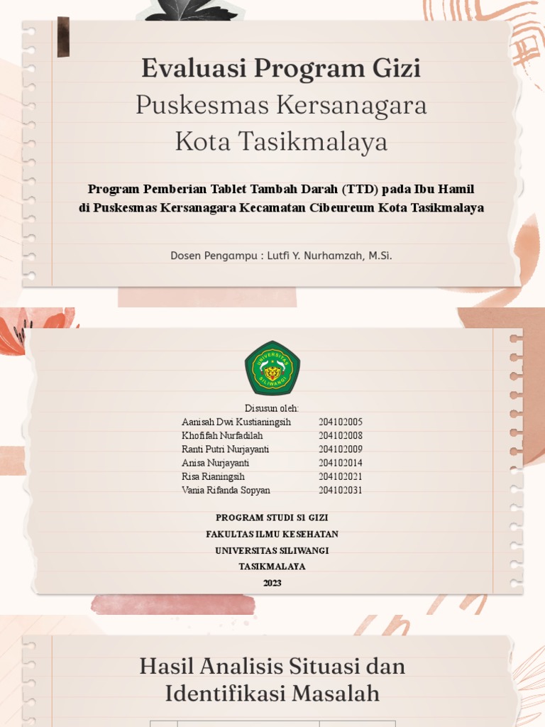 Kelompok 5 MPG_Program Pemberian TTD Ibu Hamil | PDF