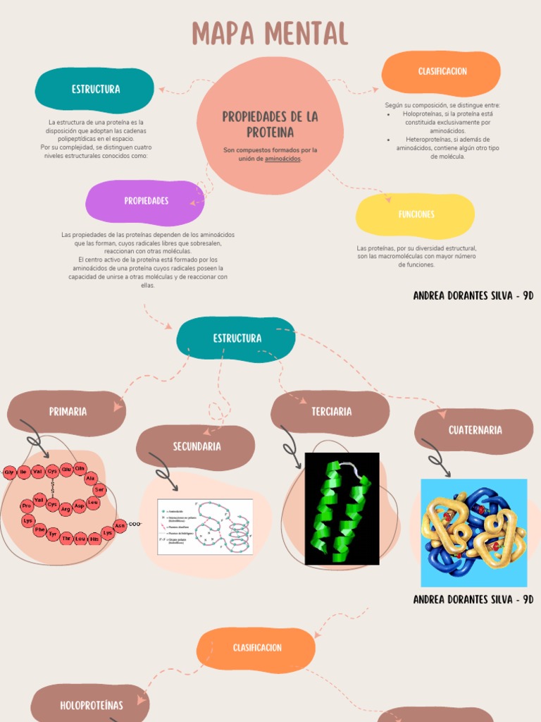Mapa Mental Propiedades de Las Proteínas | PDF | Proteínas | Aminoácidos
