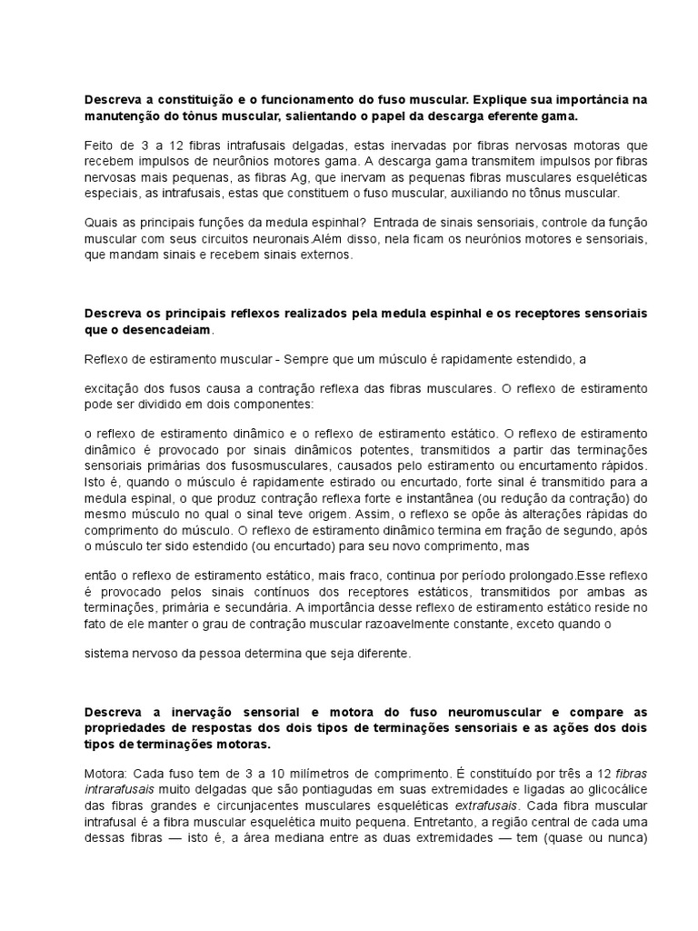 Fuso Muscular: Estrutura e Função | PDF | Neurônio motor | Cerebelo