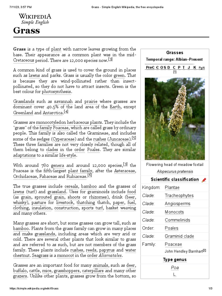 Grass | PDF | Plants | Botany