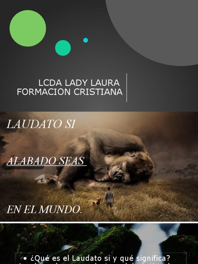 Laudato Si | PDF