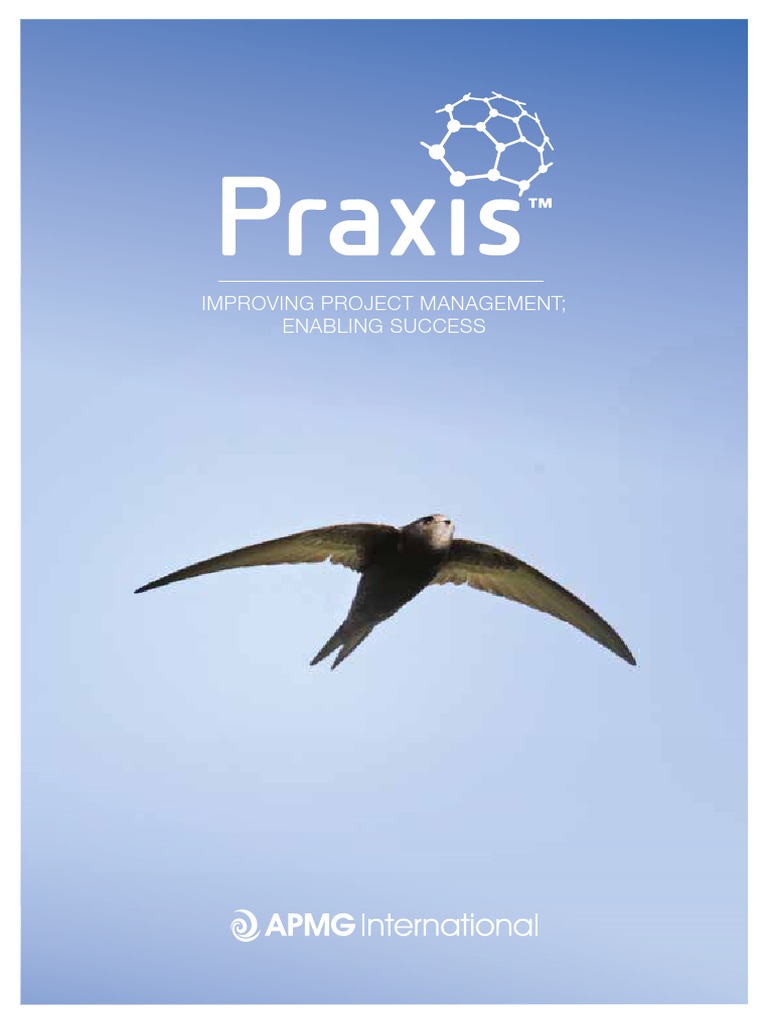 Praxis Framework Candidate Brochure - A5 Web | PDF | Project Management ...