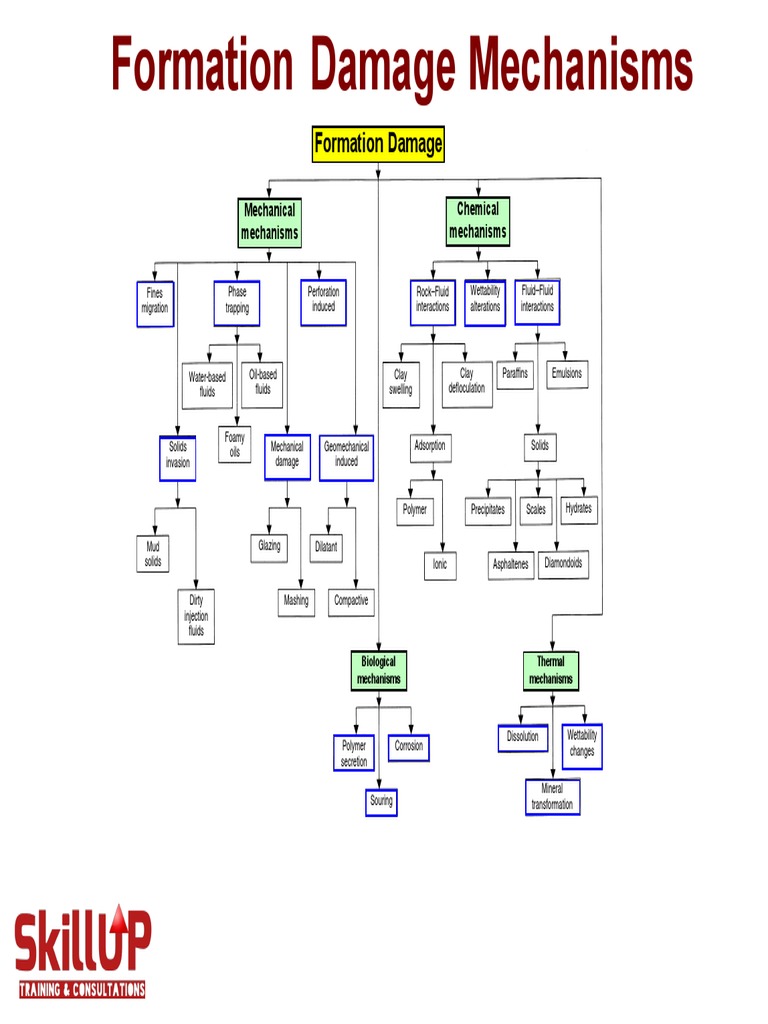 Formation Damage 1661355180 | PDF | Nature | Building Engineering