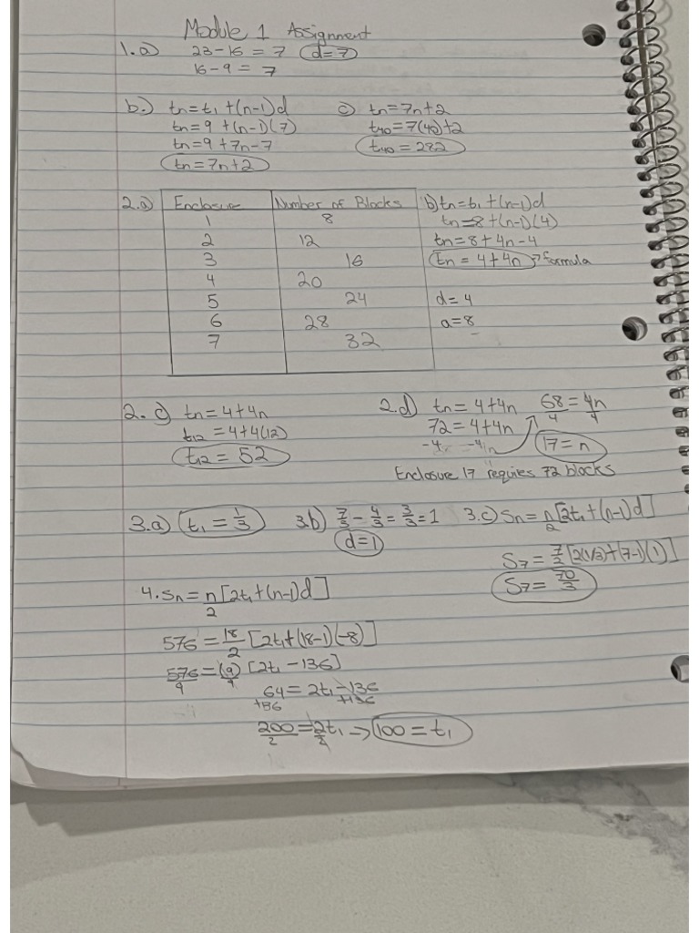 Module 1 Assignment Pdf