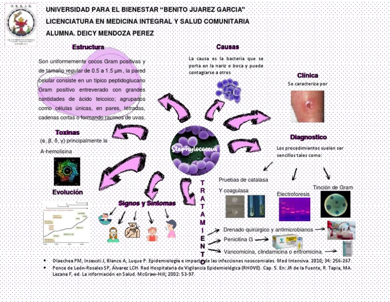Mapa Mental. Staphylococcus | PDF | Medicina | Medicina CLINICA