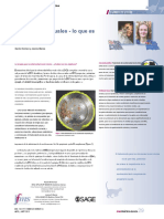 Manejo de la ERC en gatos según IRIS | PDF | Aspirina | Medicamentos ...