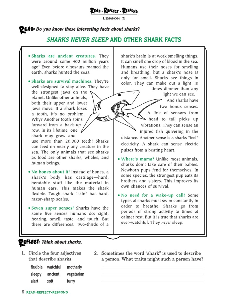Shark | PDF