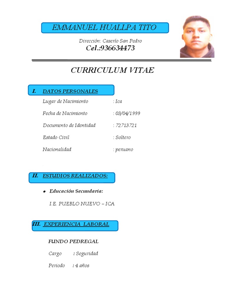 Curriculum Percy 01 | PDF
