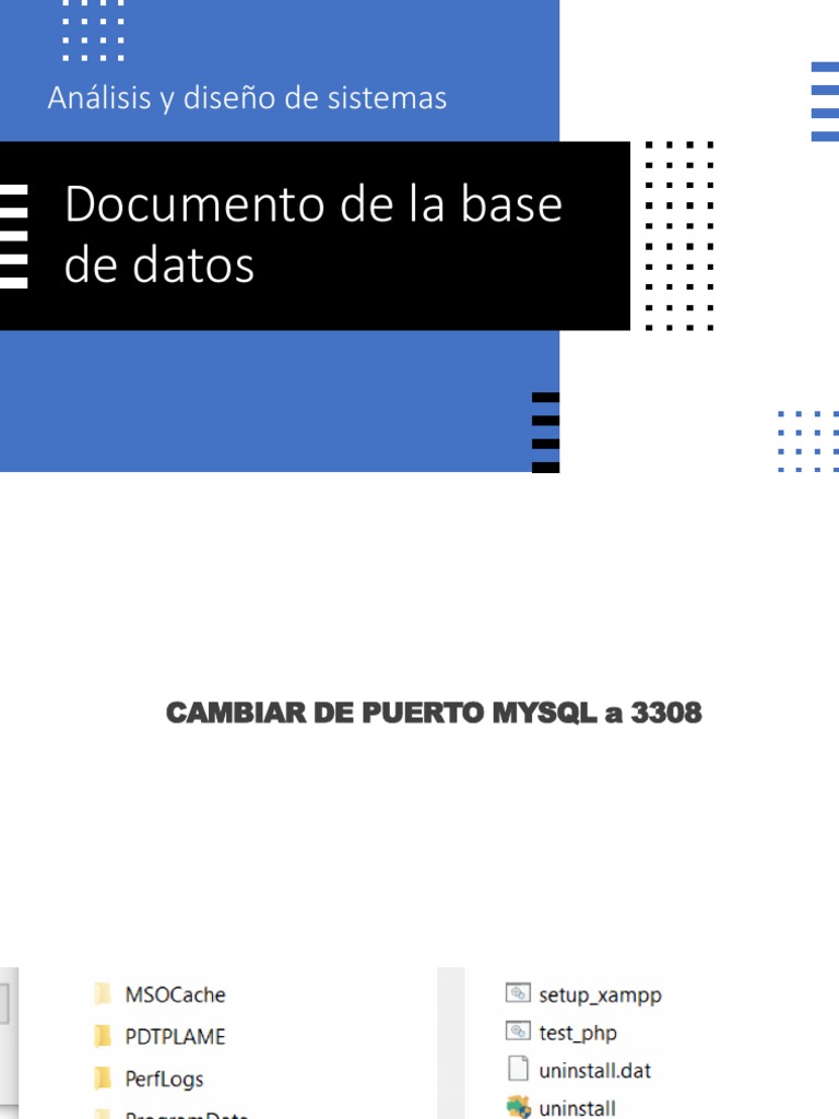 14 Documento de La Base de Datos | PDF | Informática | Gestión de datos