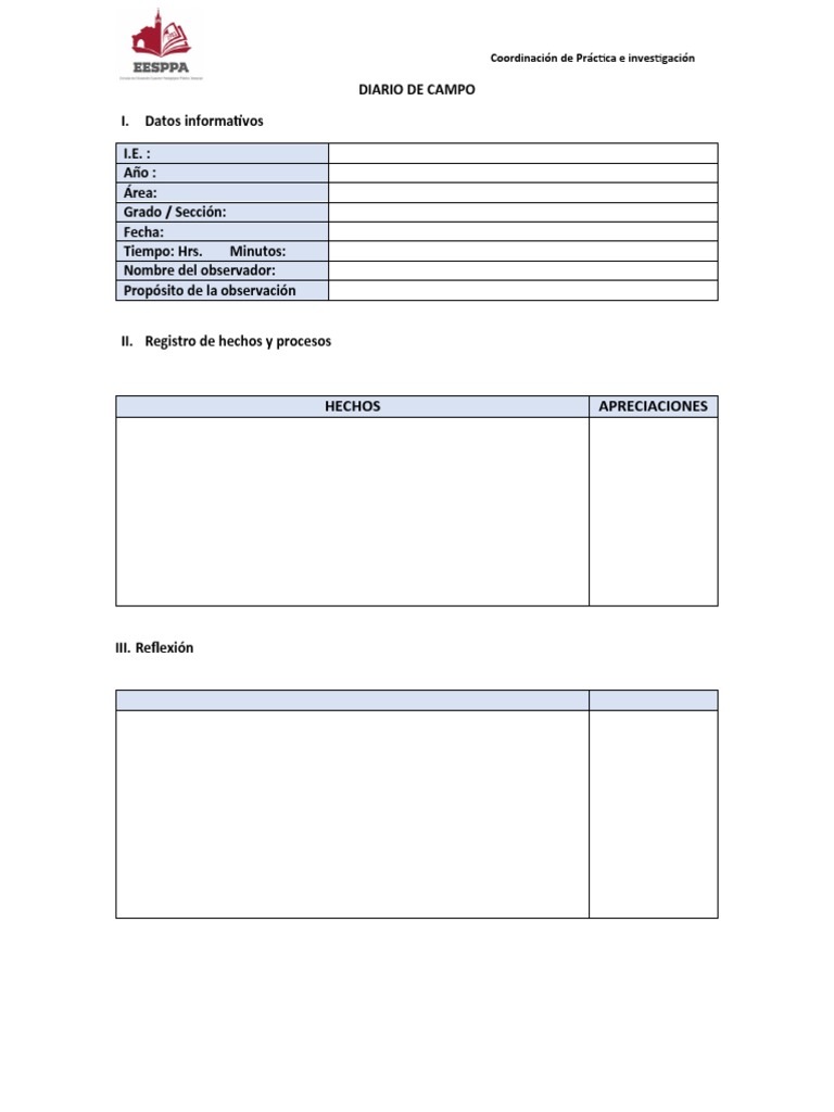 Formato de Diario de Campo | PDF