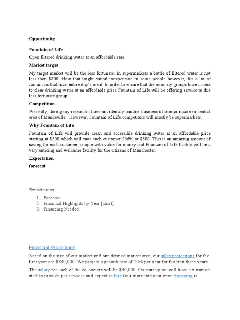 Water Fountain Business Plan | PDF