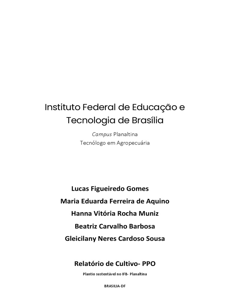 Relatório PPO | PDF