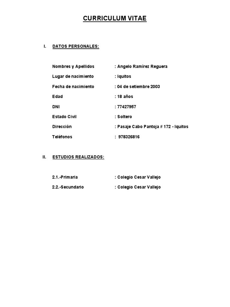CV Angelo | PDF