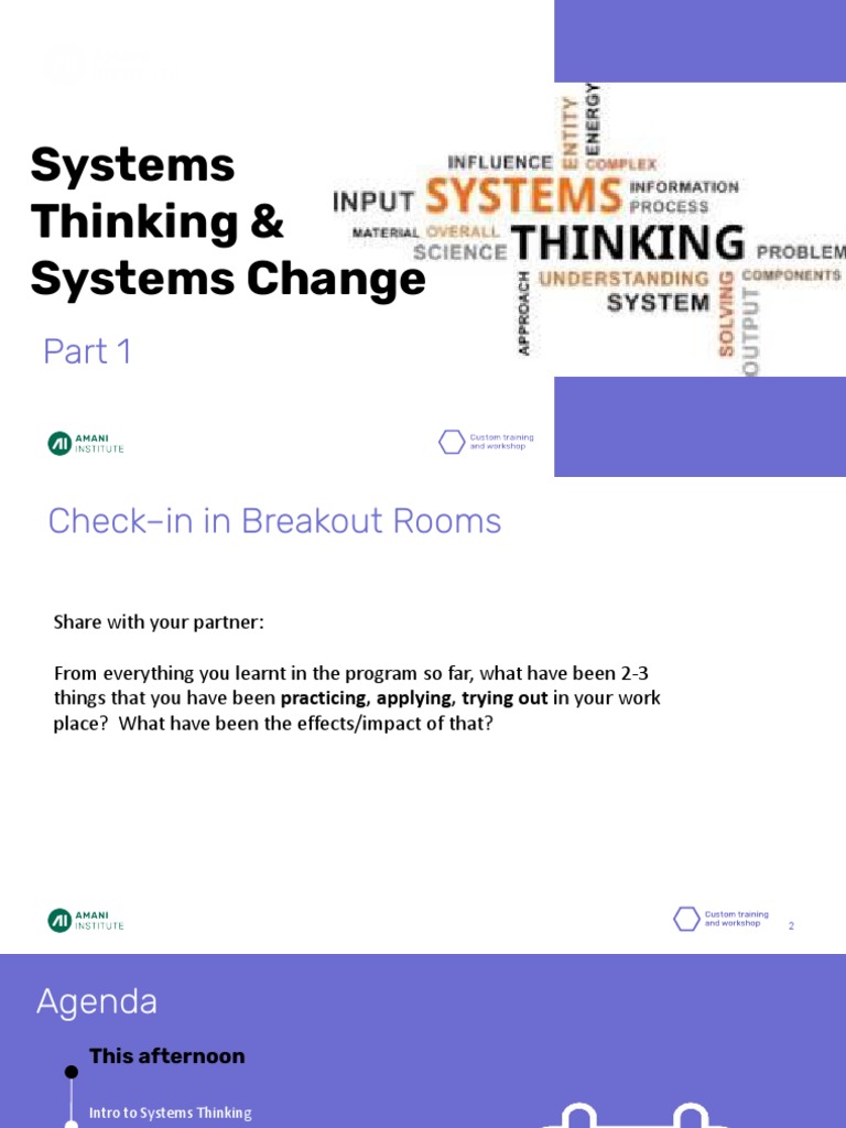 Systems Thinking and Systems Change | PDF