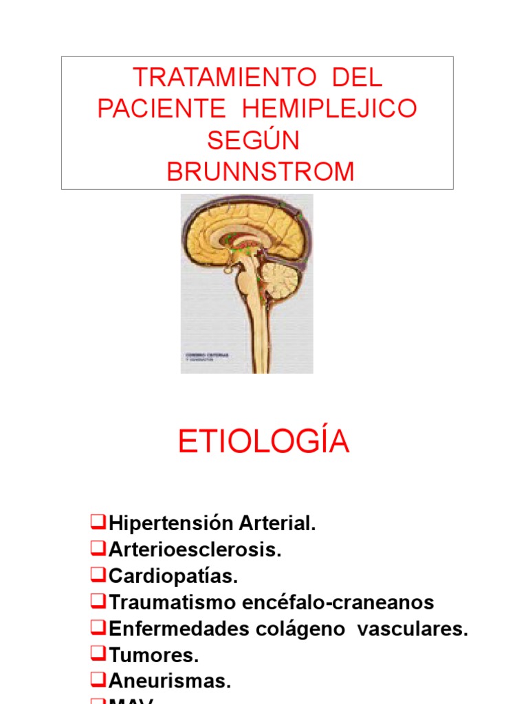 Tratamiento de La Hemiplejia Segun Brunstrom | PDF | Enfermedades y ...