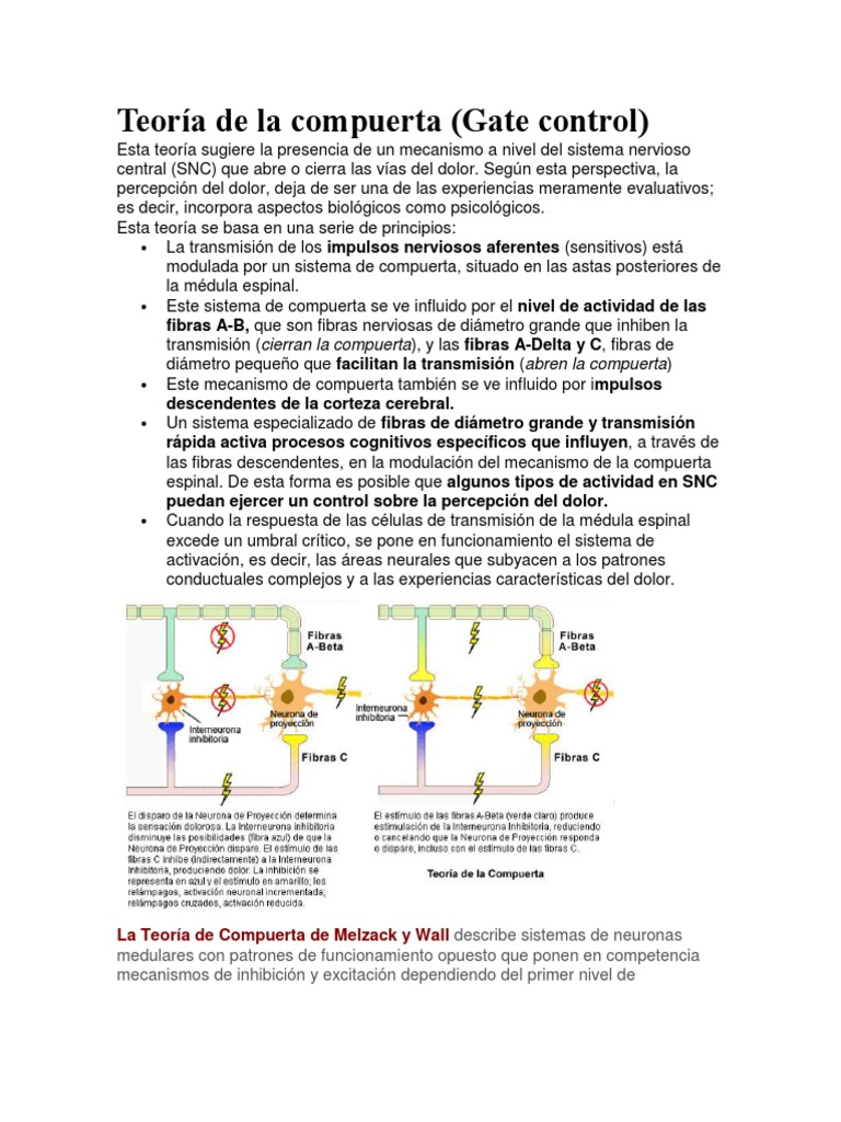Teoría de La Compuerta | PDF | Dolor | Anatomía