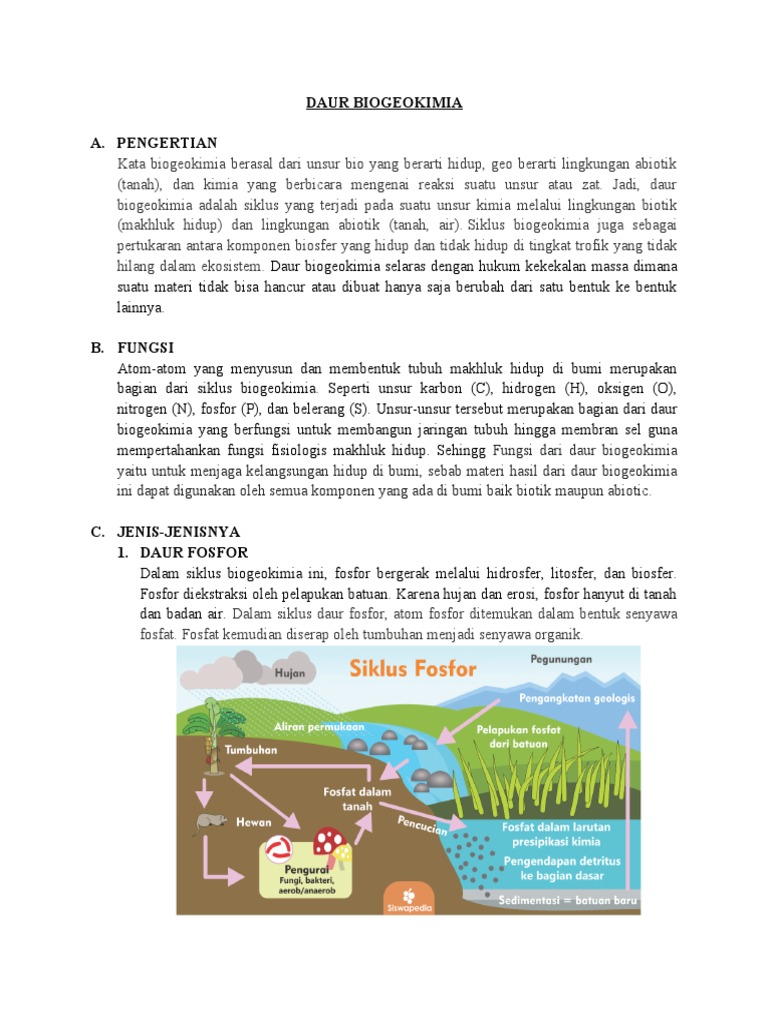 Daur Biogeokimia | PDF