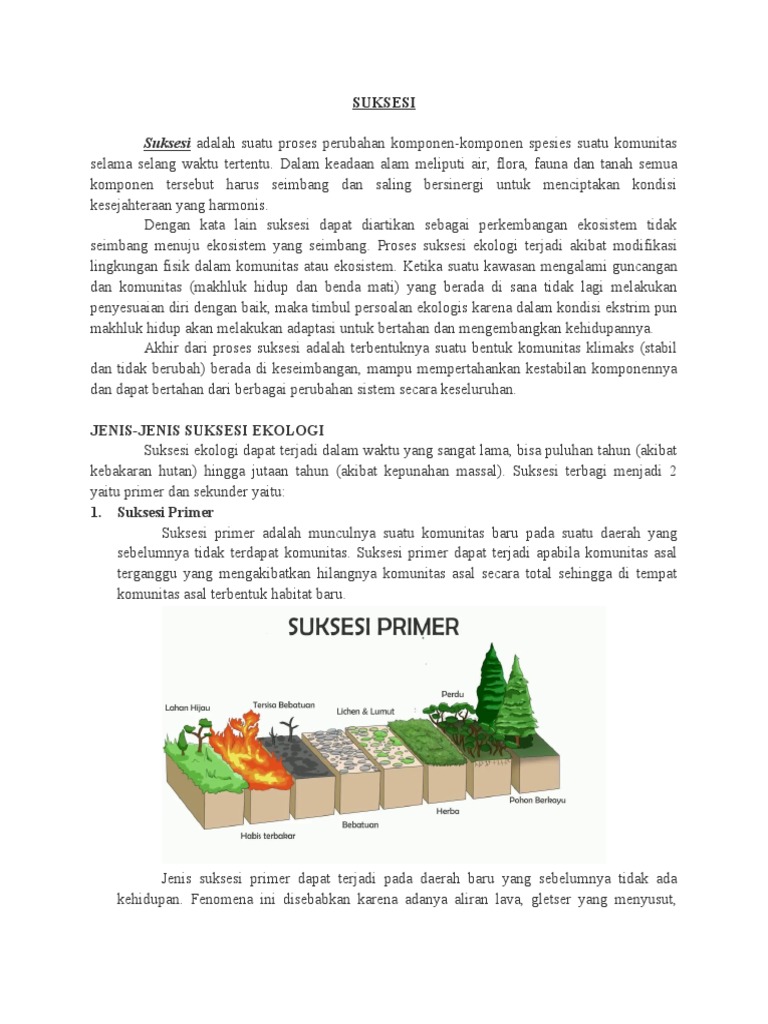 Suksesi Pdf