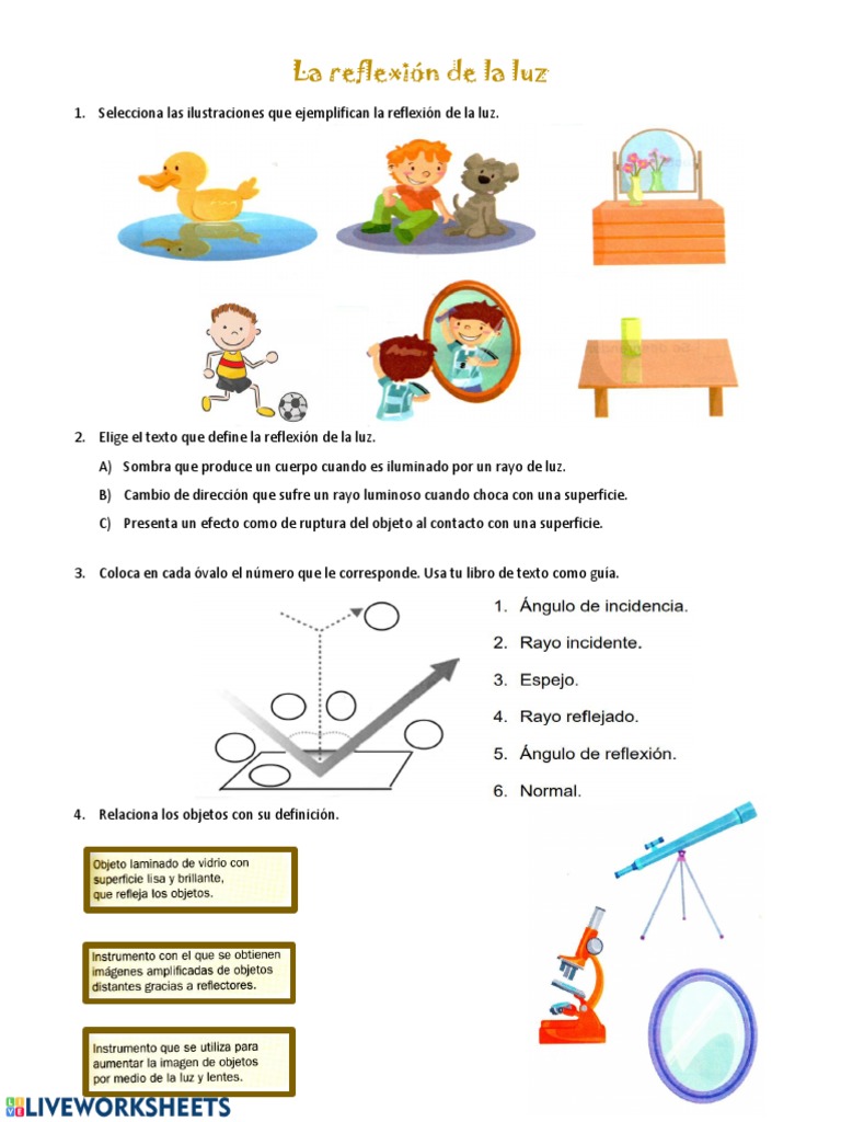 Ejemplos de Reflexión de la Luz para Niños | PDF