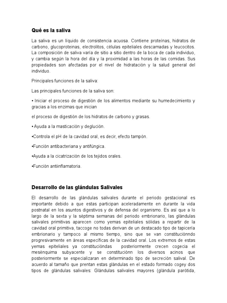 Glándulas Salivales | PDF | Saliva | Anatomía
