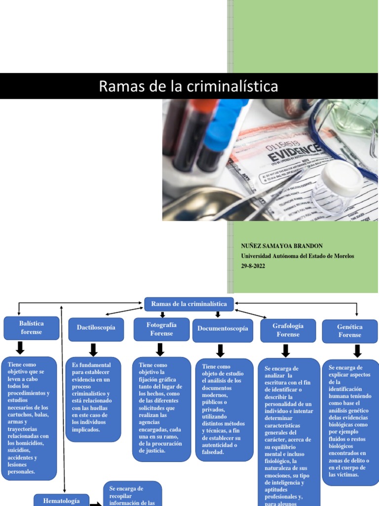 Ramas de La Criminalistica | PDF | Ciencia forense | Science