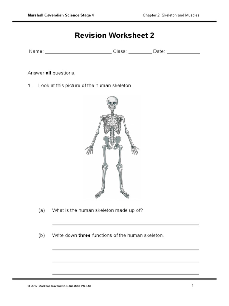 MC Science - Revision WS - Stage 4 - C02 | PDF
