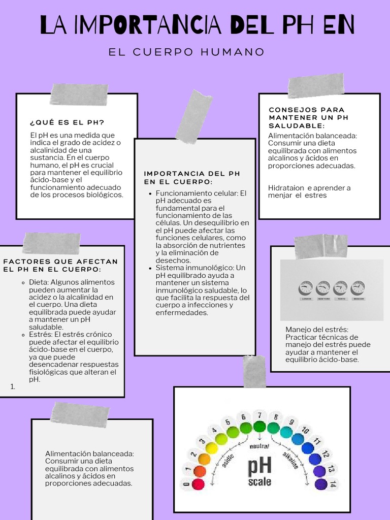 La Importancia Del PH e | Descargar gratis PDF | Dieta | Alimentos