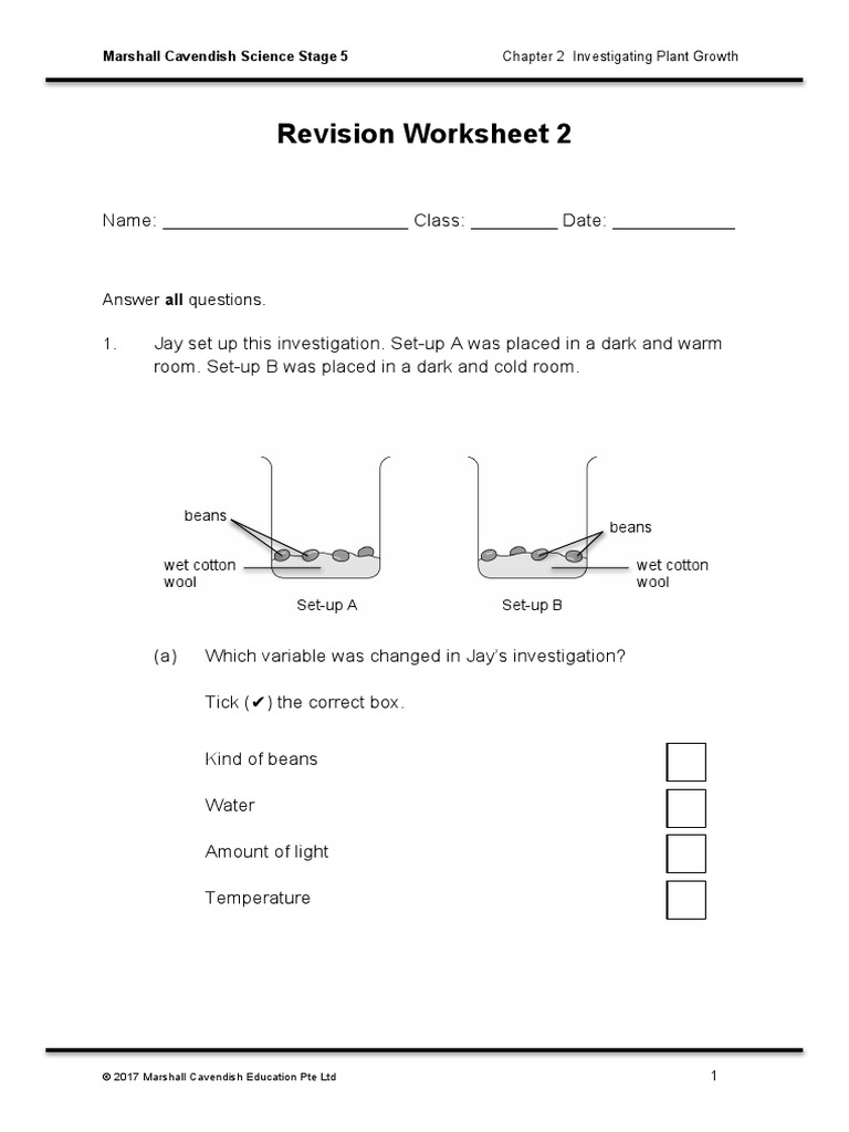 MC Science - Revision WS - Stage 5 - C02 | PDF | Seed | Seedling