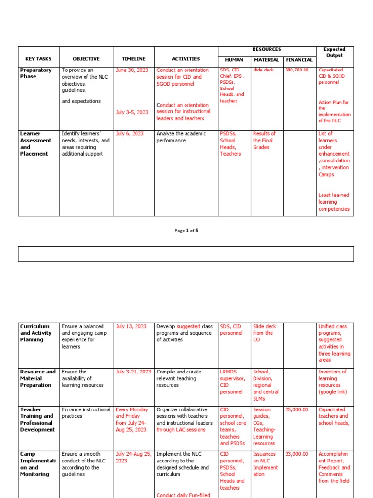 NLearning Camp Action Plan FINAL | PDF