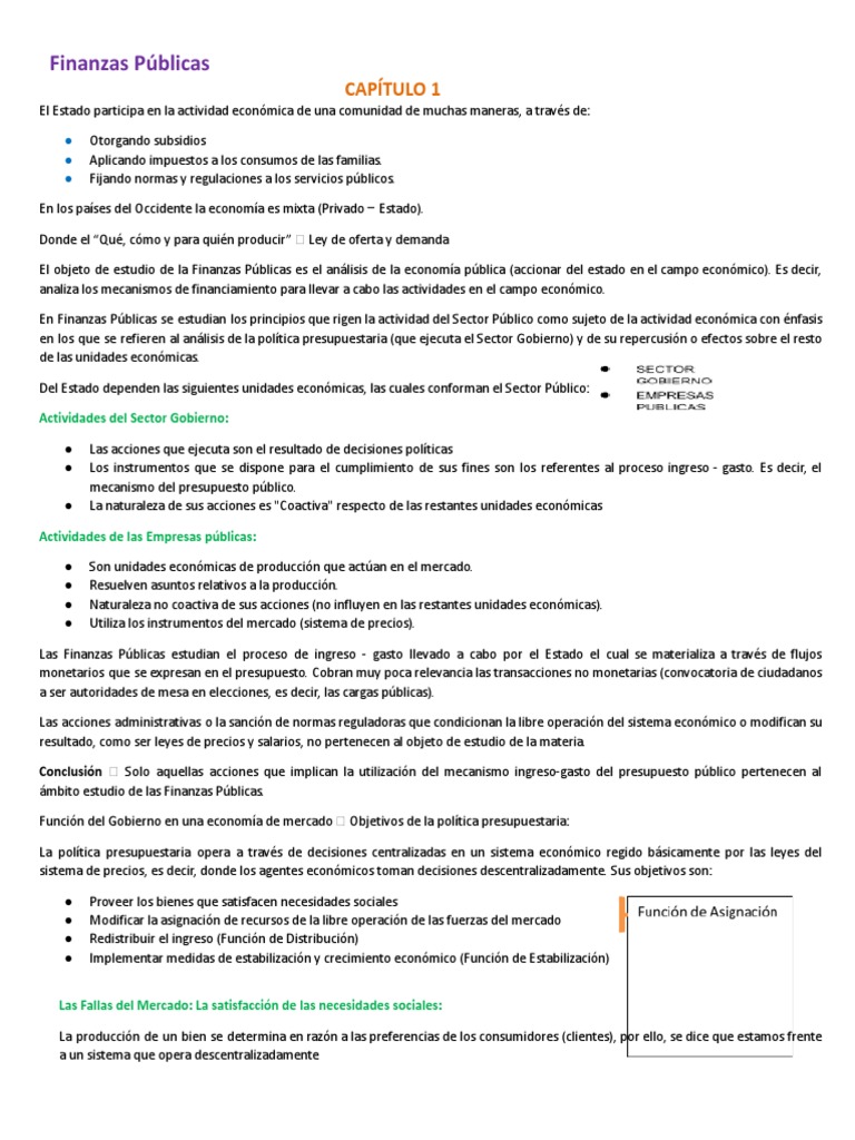 Finanzas Publicas Resumen | PDF | Presupuesto | Bienes
