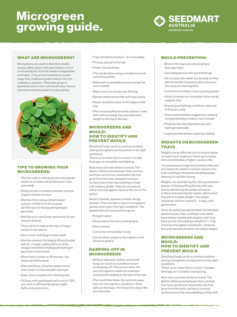 Microgreen Growing Guide Troubleshooting | PDF