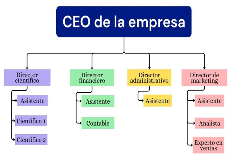 Mapa Conceptual Sobre CEO de La Empresa | PDF