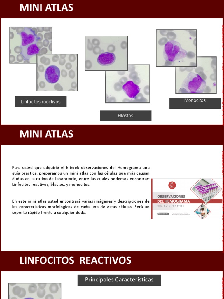 Mini Atlas de Hematologia | PDF | Nucleo celular | Leucemia
