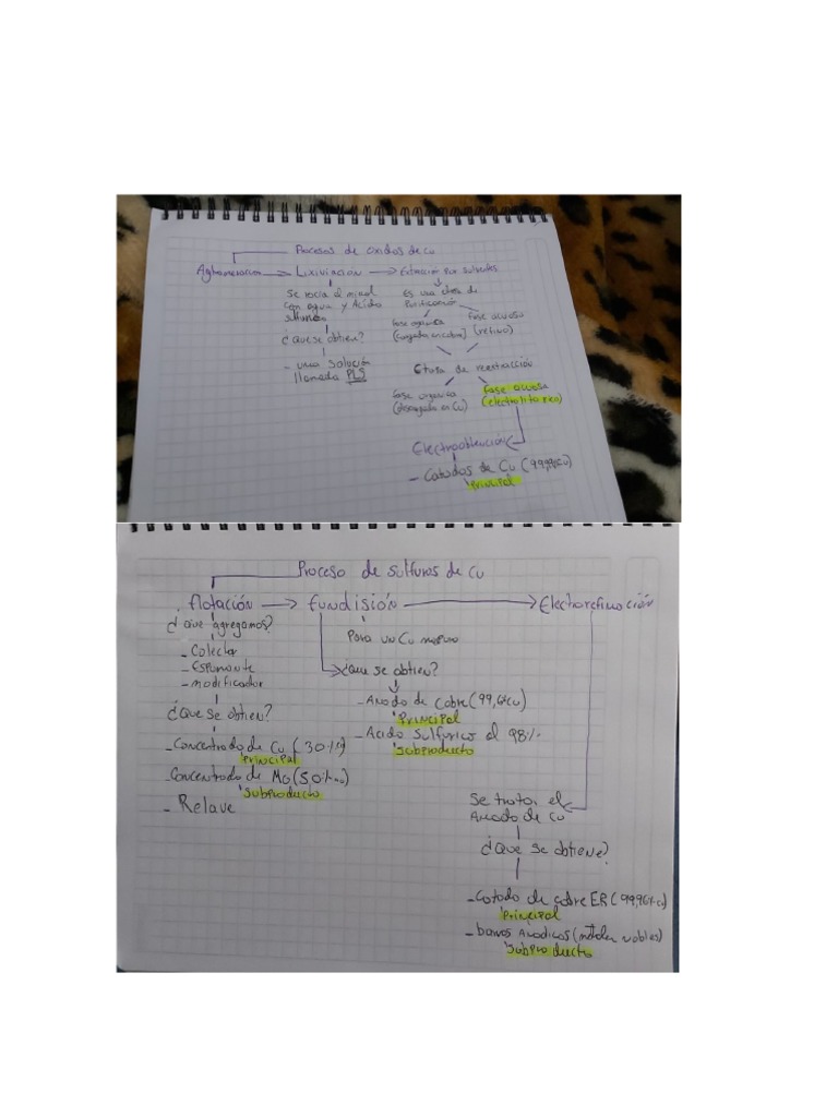 Esquemas de Prueba | PDF