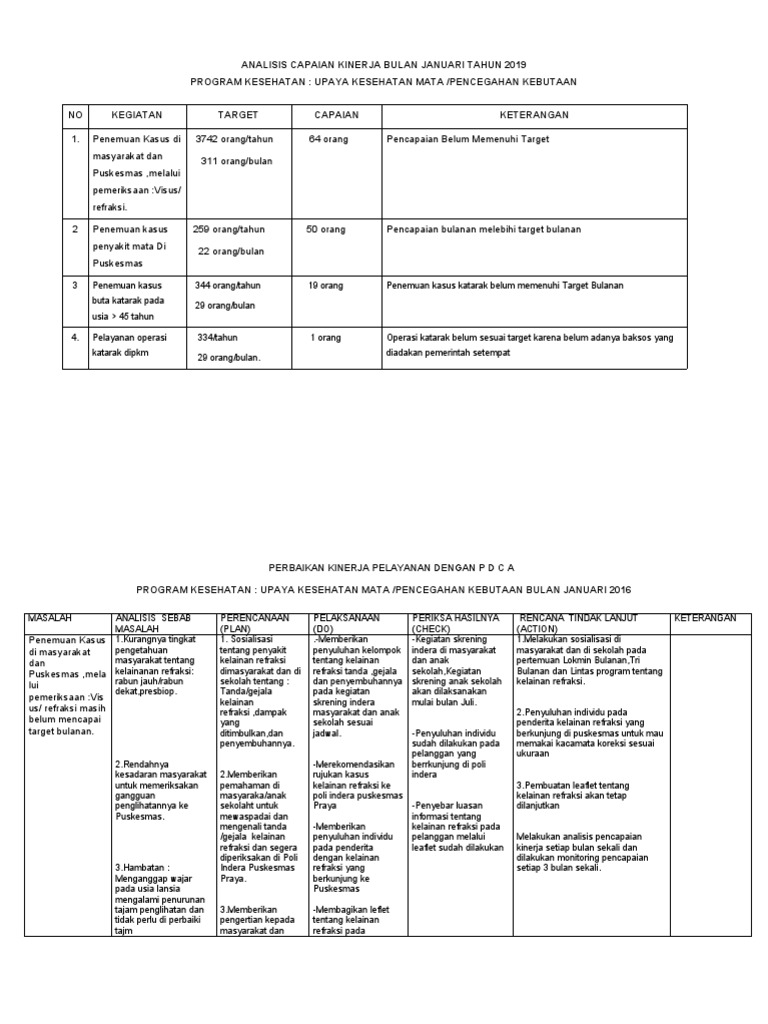 Analisis Kinerja PDCA Indera | PDF