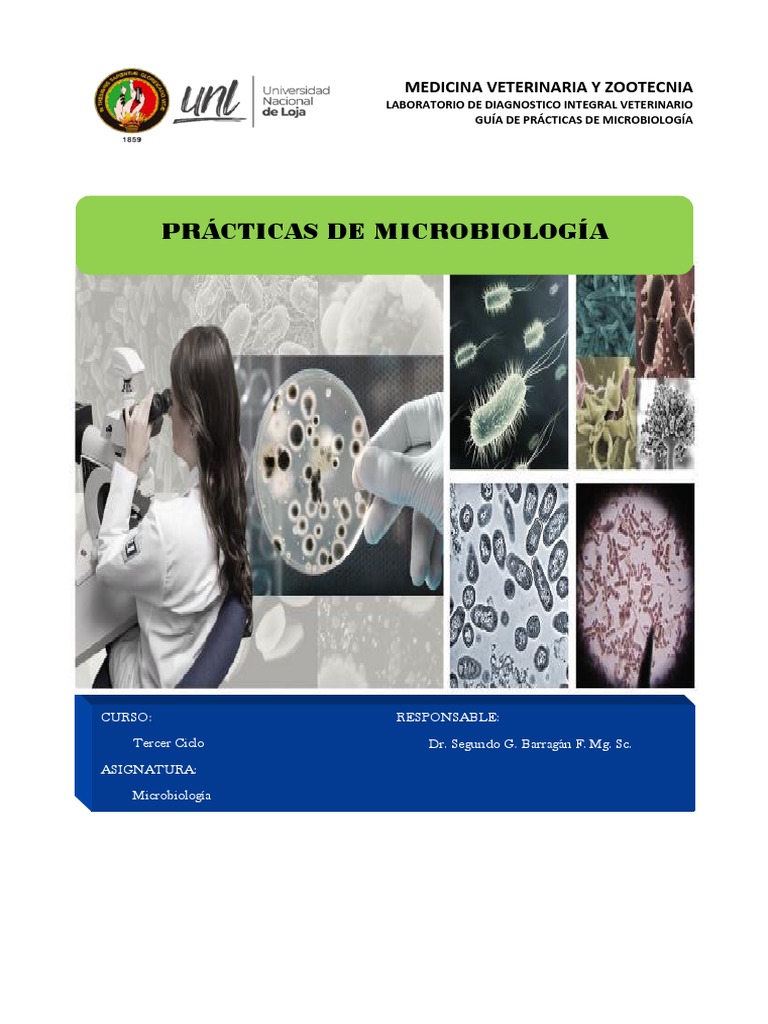 Guia de Practicas de Microbiologia | PDF | Tinción | Las bacterias