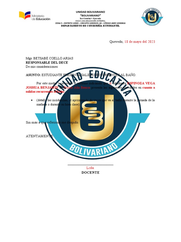 Informe para El Dece Por Alguna Incidencia | PDF
