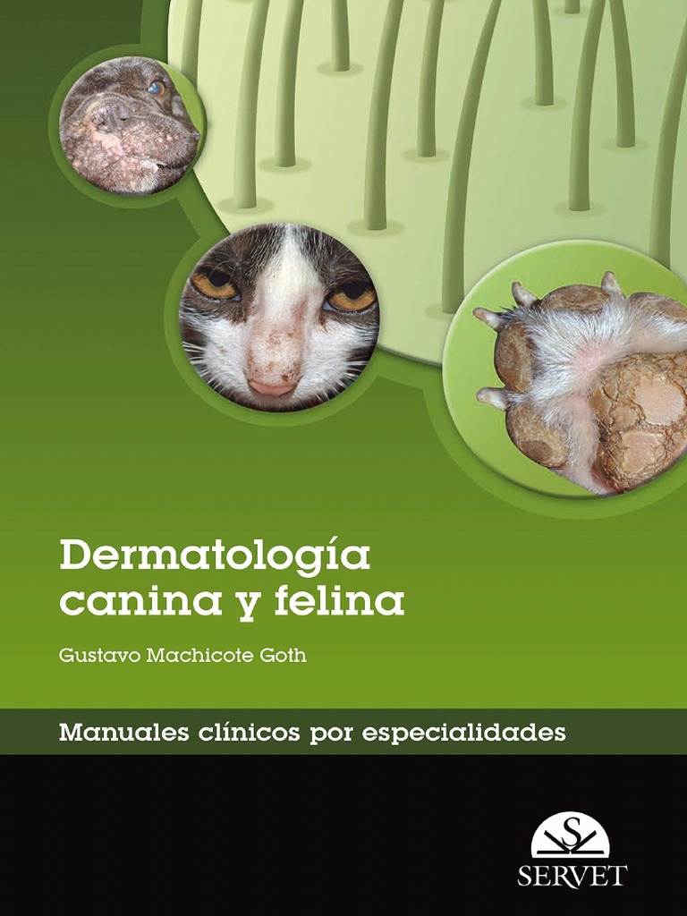 Dermatologia Canina y Felina - SERVET | PDF | Medicina CLINICA ...
